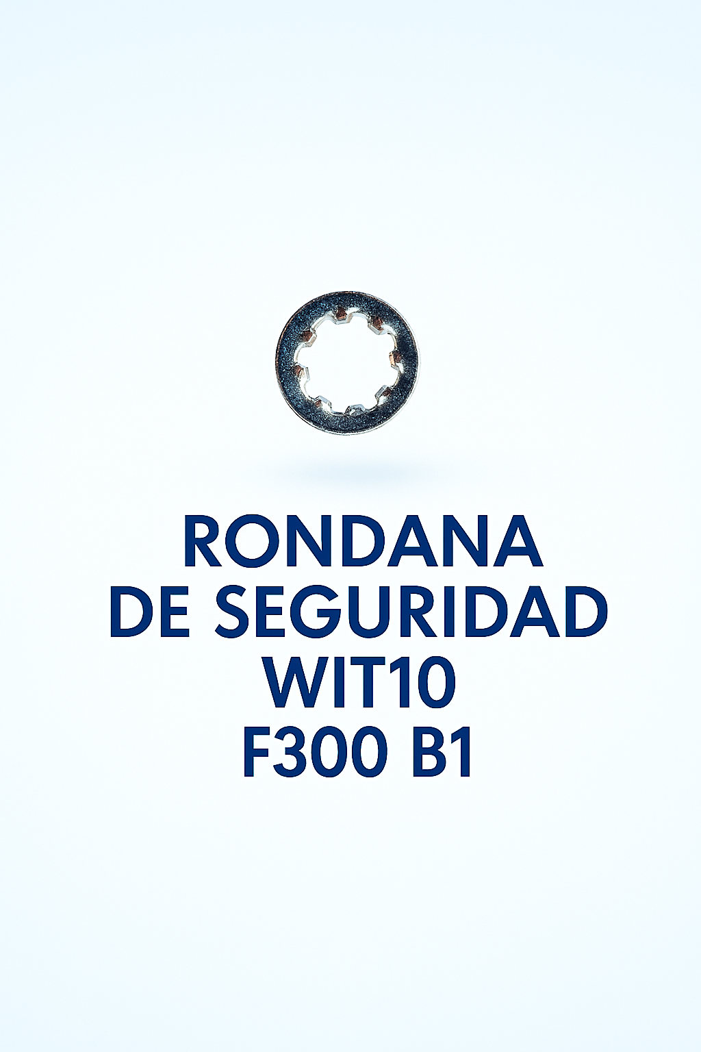 Rondana de Seguridad F300 B1 - Grupo Corza